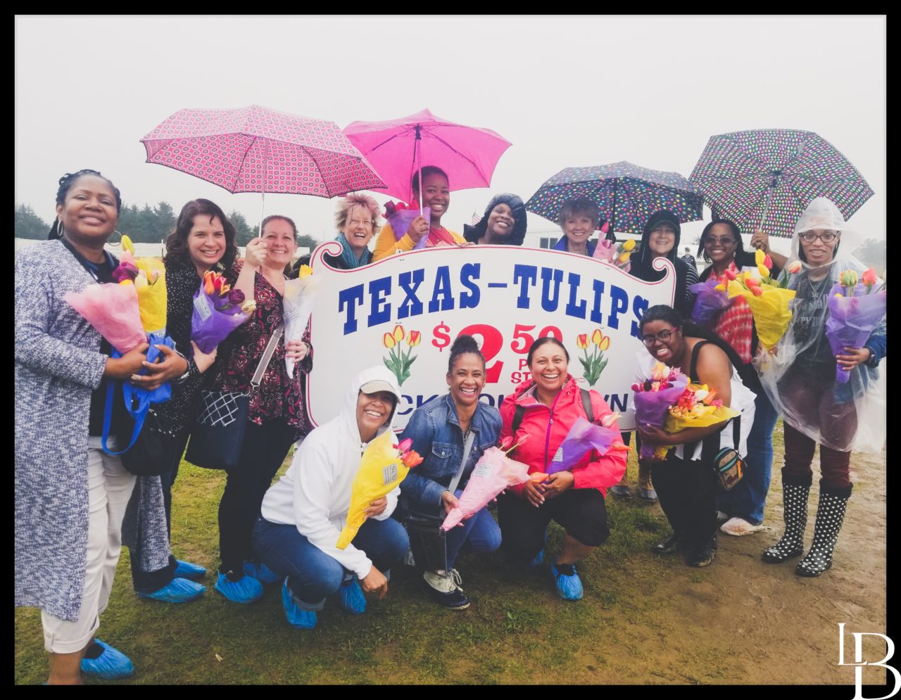 Tulip Trip Training Guide | Lady Banks Living